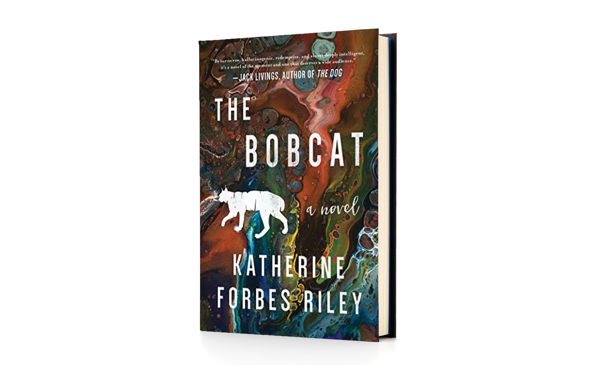 Alumni Books | Dartmouth Alumni Magazine