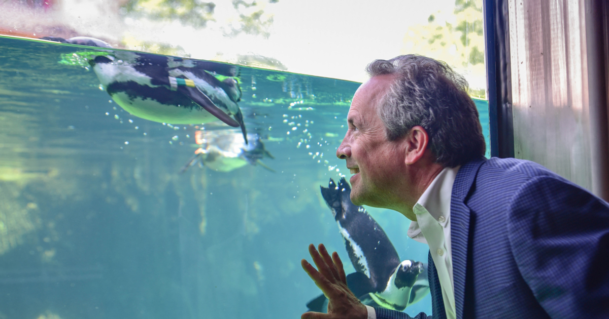 Animal Magnetism | Dartmouth Alumni Magazine