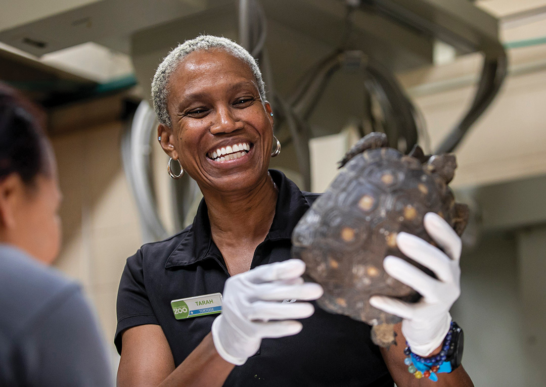 Behind the Scenes at the Zoo | Dartmouth Alumni Magazine